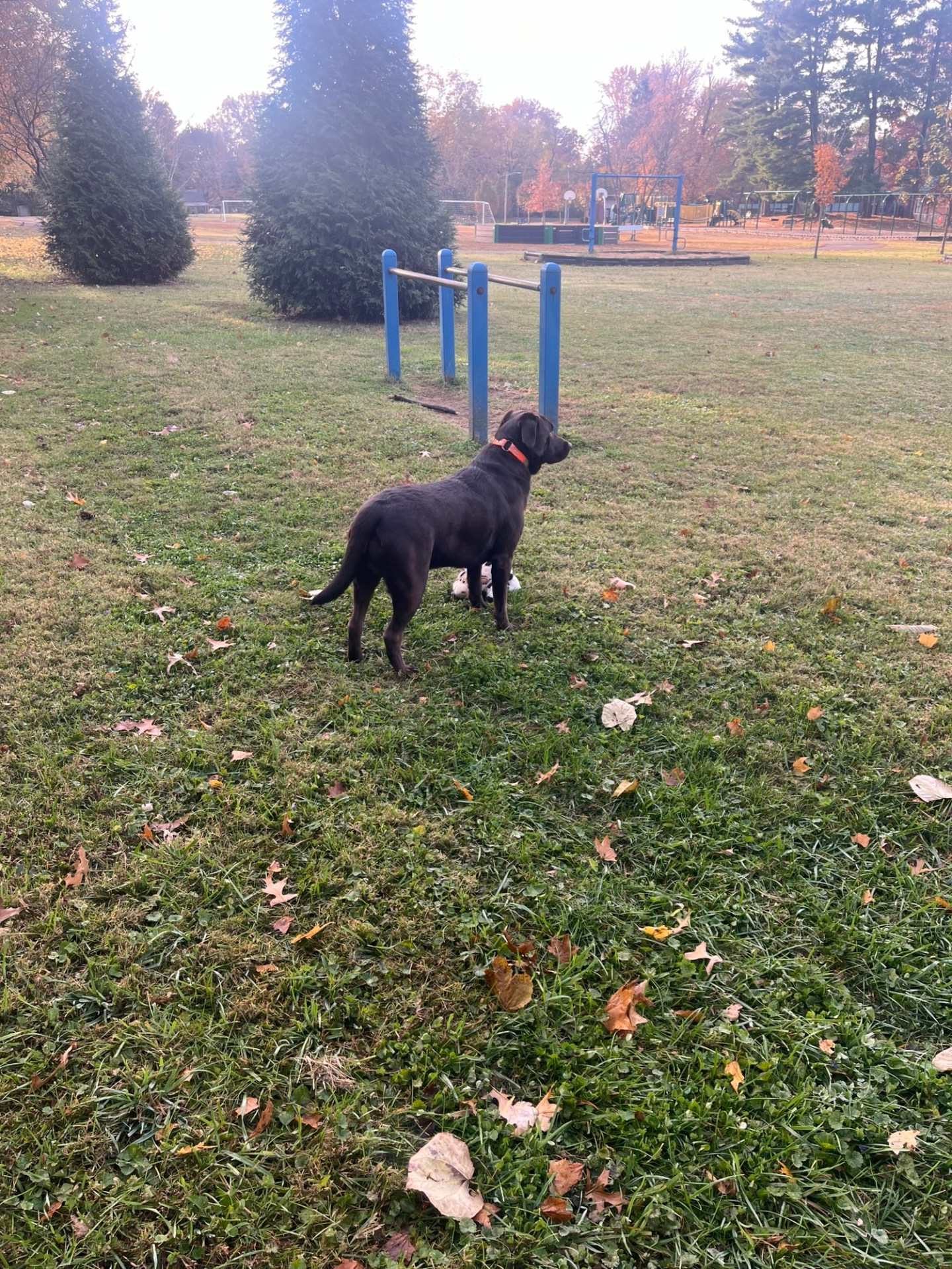 Hello Monday – Coffee and Cocktails at the Casa